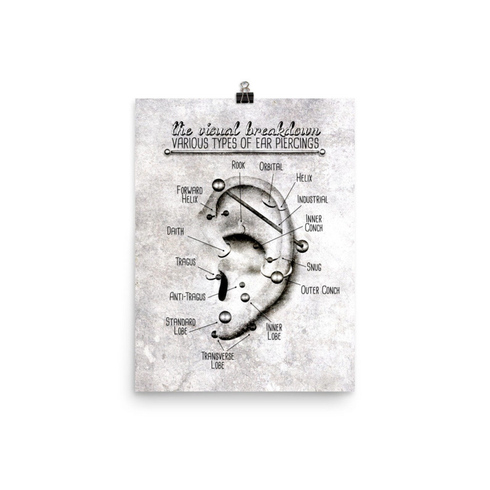 Ear Piercing Chart Infographic Print Wall Art Updated Grunge Grey ...
