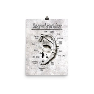 Ear Piercing Chart Infographic Print Wall Art Updated Grunge Grey ...