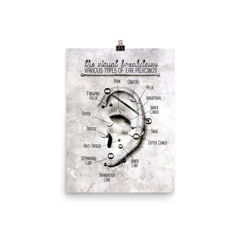 Ear Piercing Chart Infographic Print Wall Art Updated Grunge Grey ...