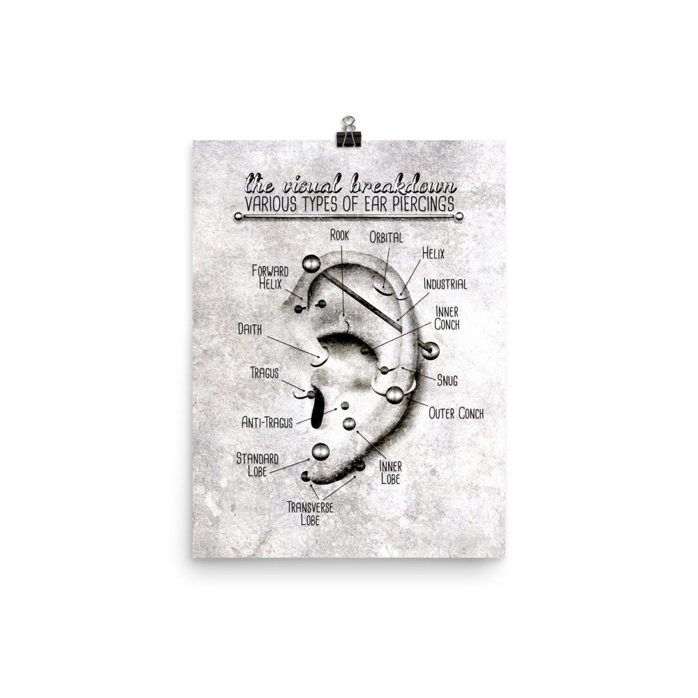 Ear Piercing Chart Infographic Print Wall Art Updated Grunge Grey ...