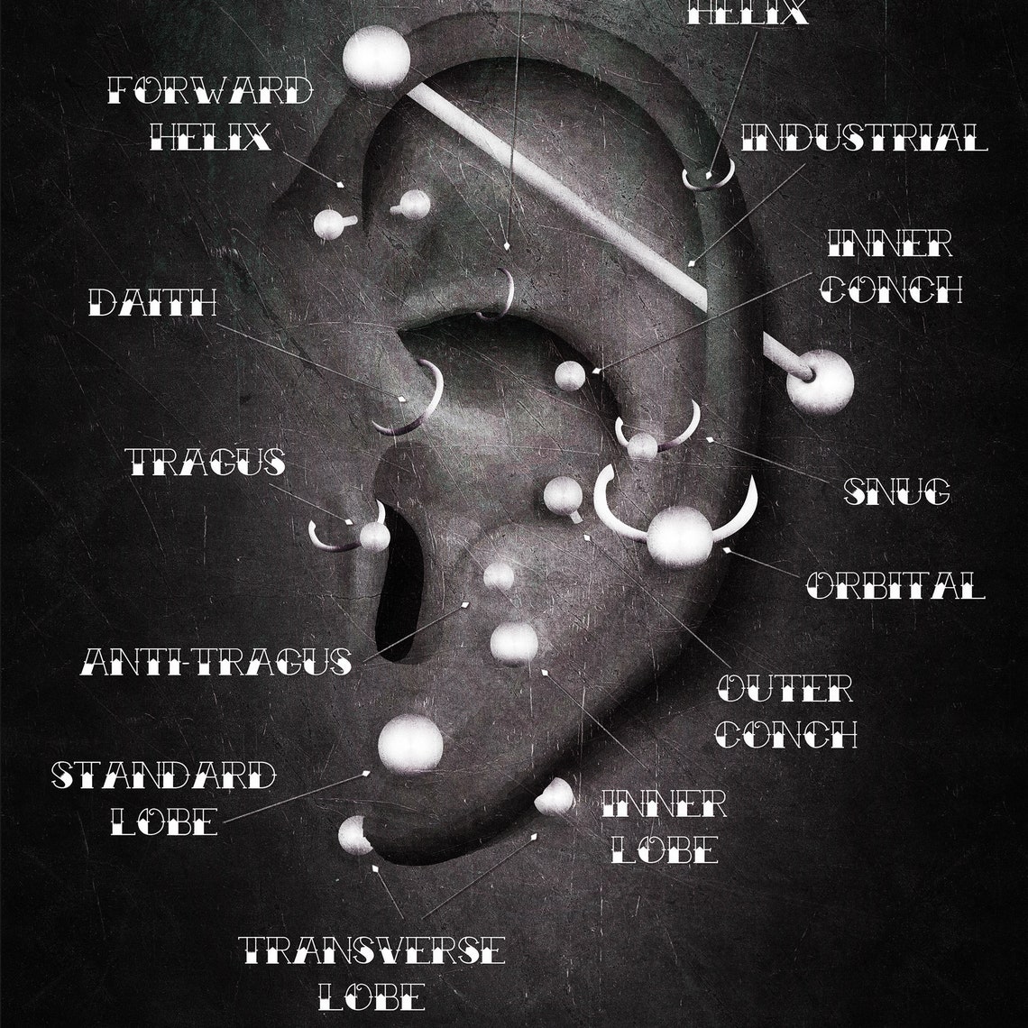 Grunge Ear Piercing Chart Wall Art Infographic Poster (matching for ...