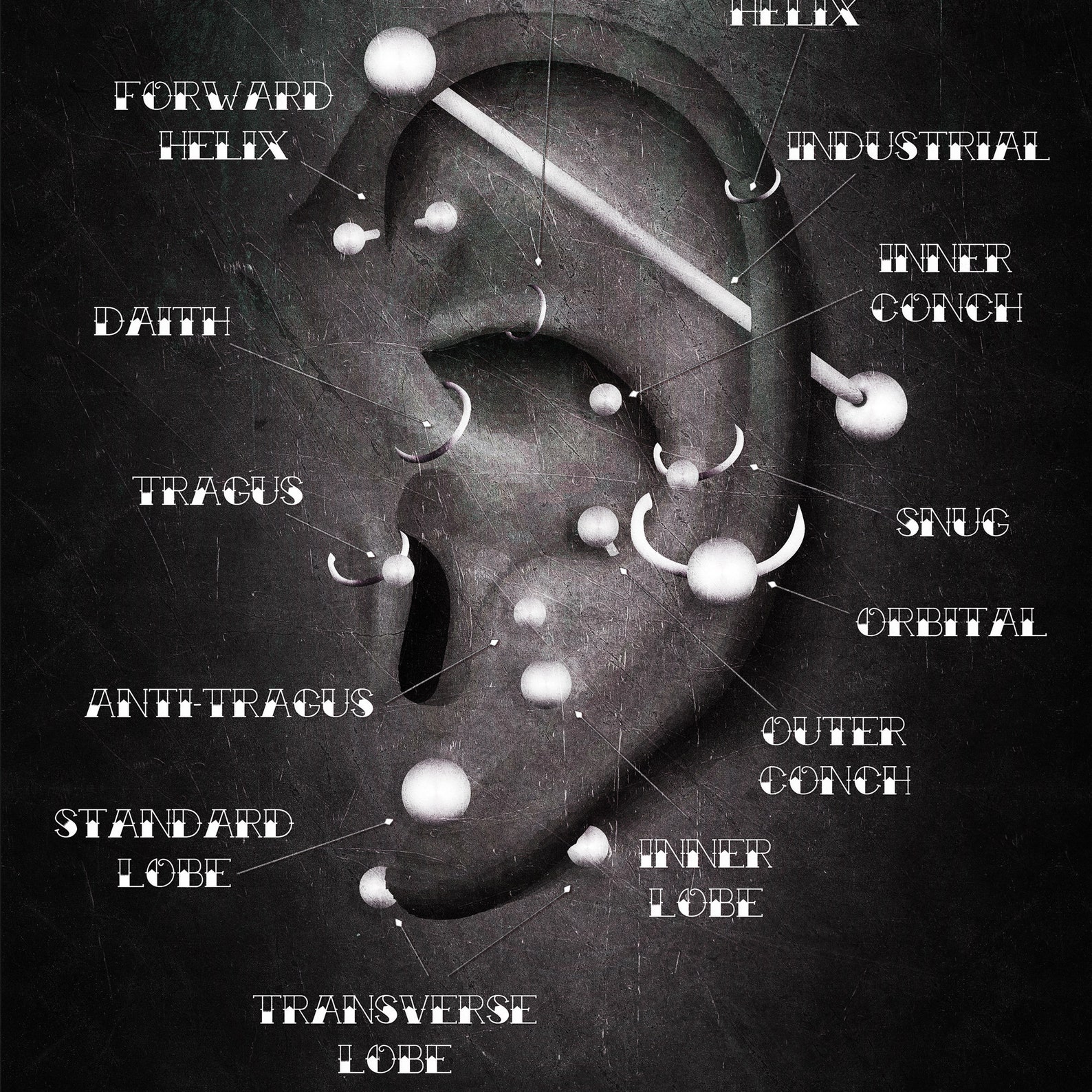 Grunge Ear Piercing Chart Wall Art Infographic Poster (matching for Facial Piercing Version ...