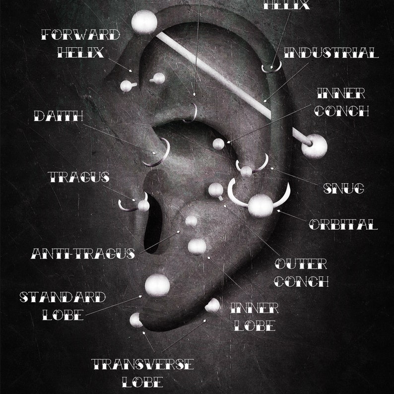 Grunge Ear Piercing Chart Wall Art Infographic Poster (matching for ...