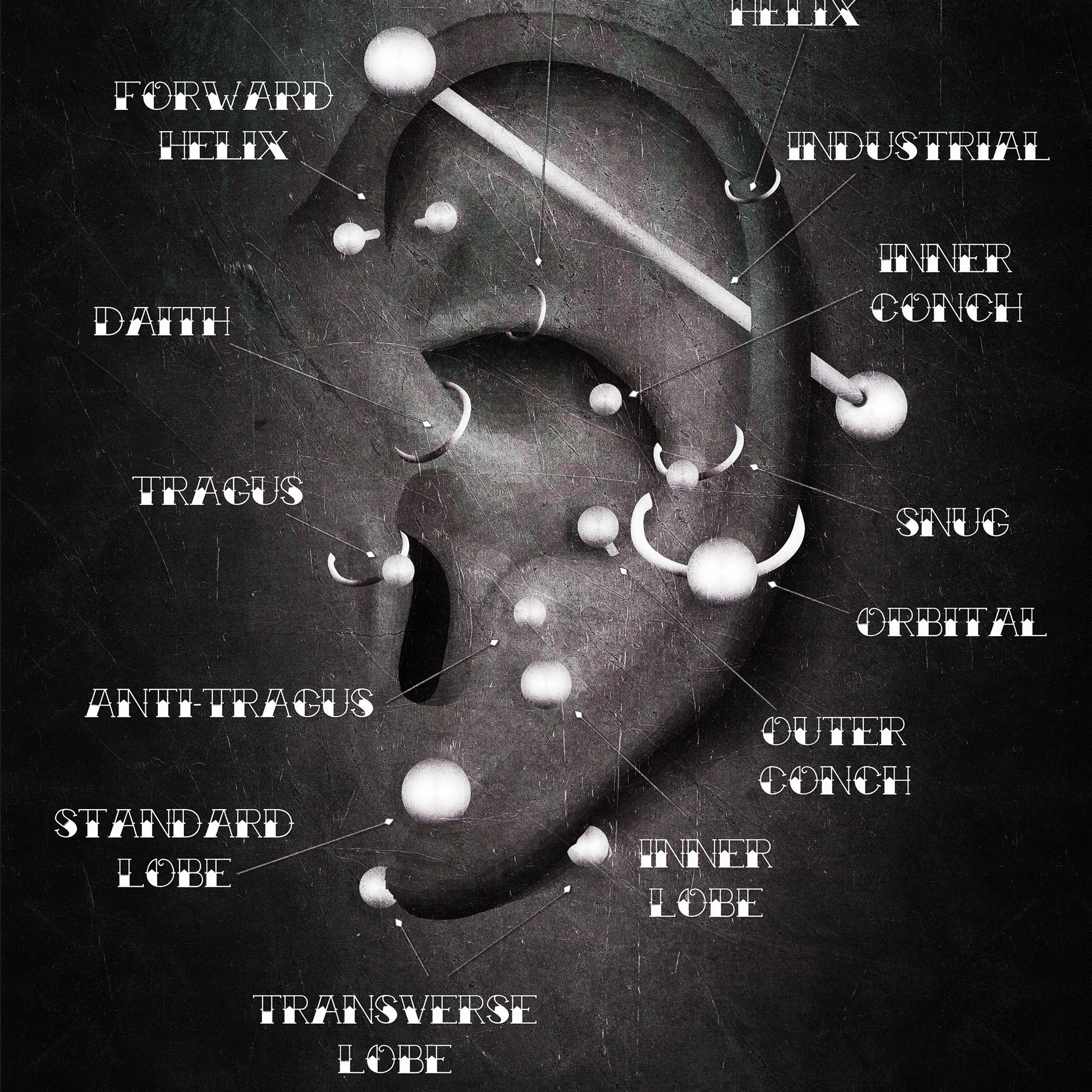 Grunge Ear Piercing Chart Wall Art Infographic Poster (matching for ...