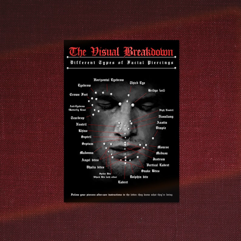Face Piercings Chart Poster Infographic Gothic Various Types of Face ...