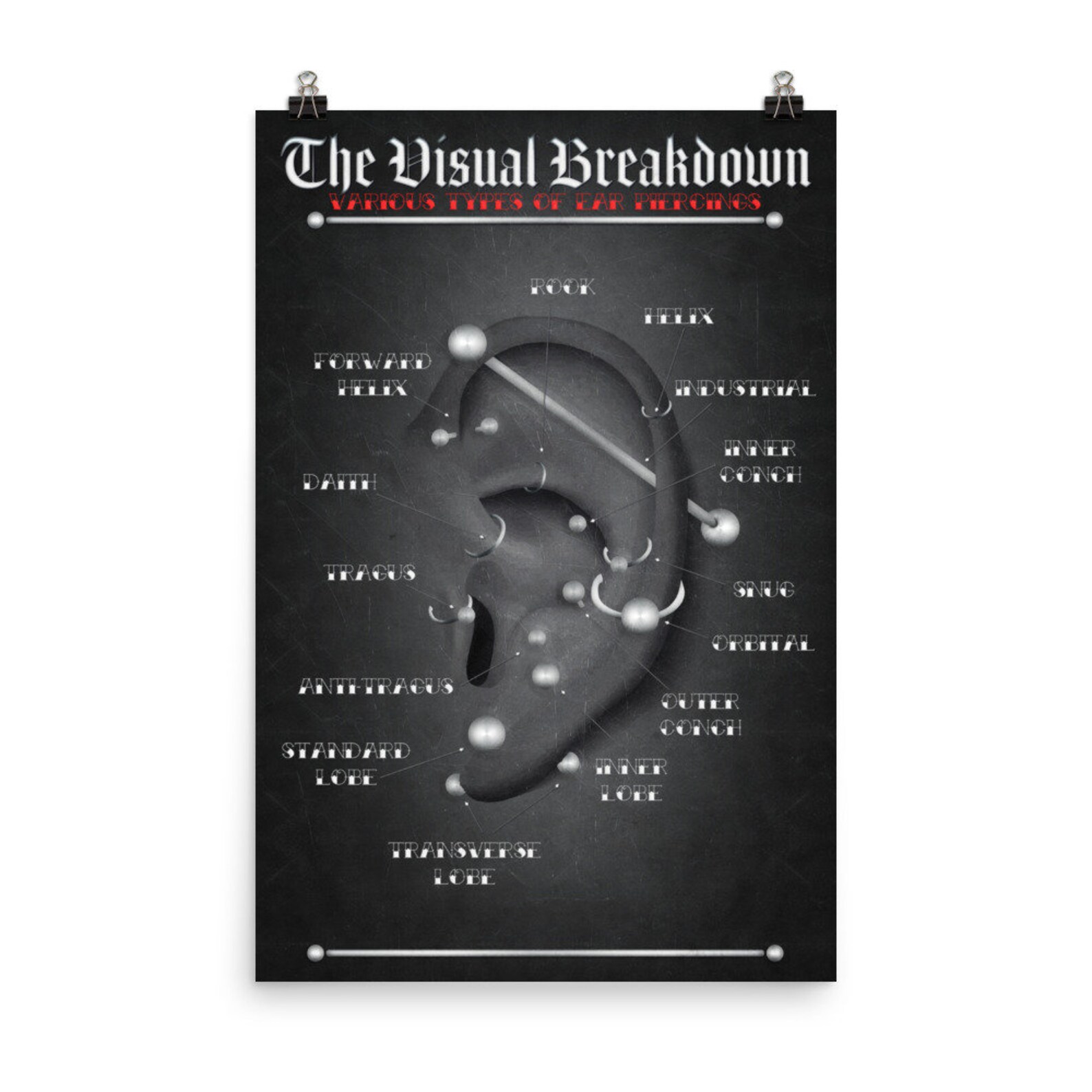 Vintage Style Ear Piercing Chart Print Ear Piercing Art Professional ...