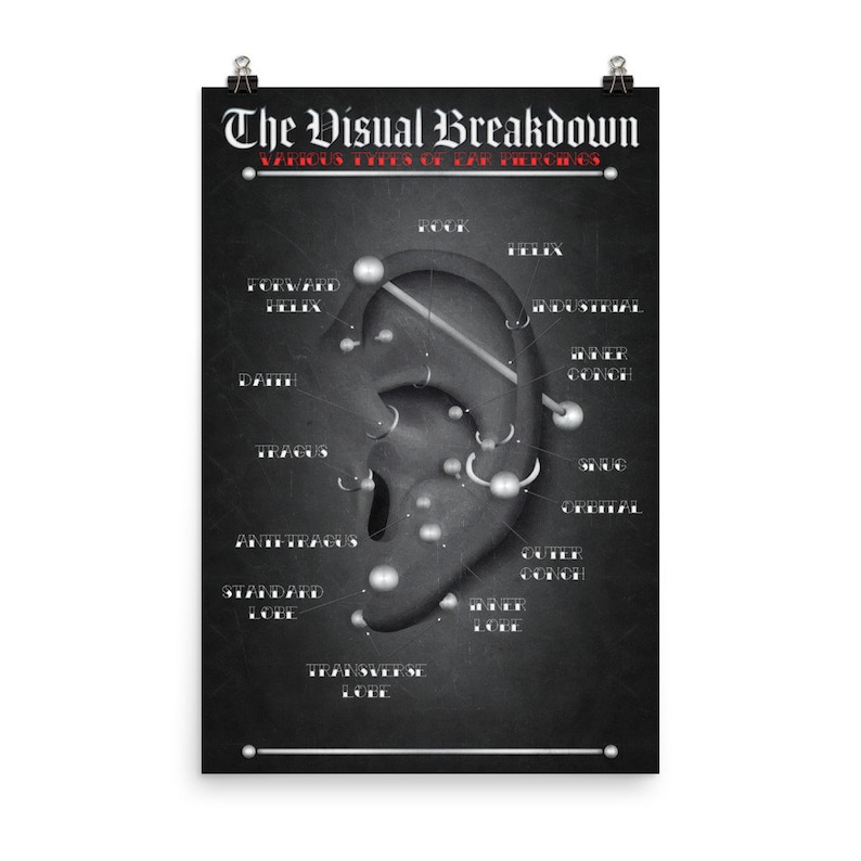 Vintage Style Ear Piercing Chart Print Ear Piercing Art Professional ...