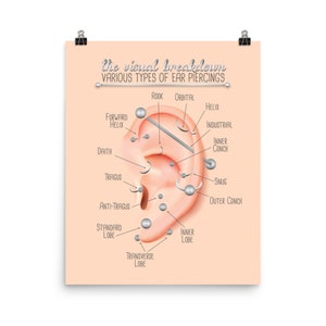Ear Piercing Chart Infographic Print Wall Art Updated Version Poster ...