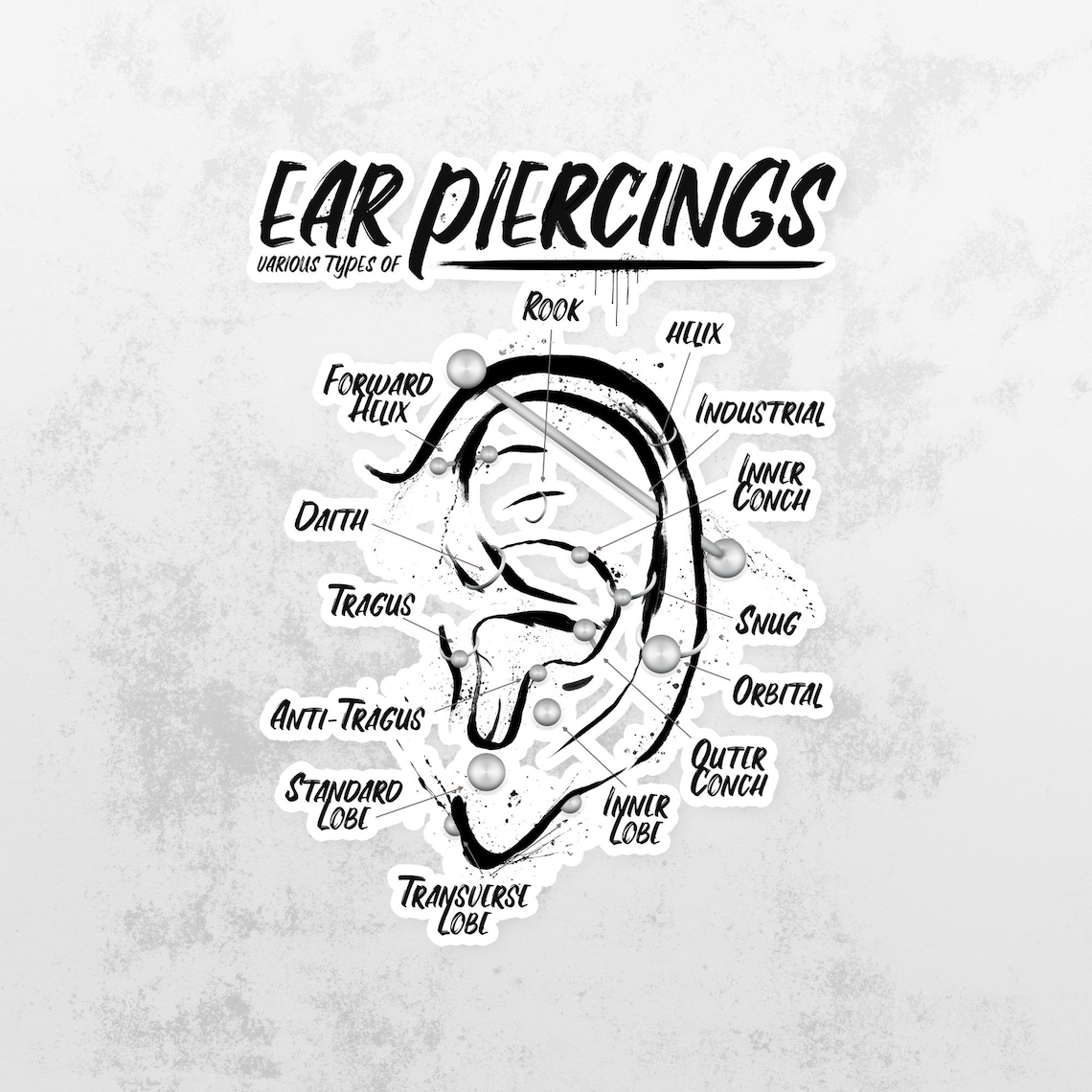 Ink Ear Piercing Chart Sticker Various Types of Ear Piercings Stickers ...