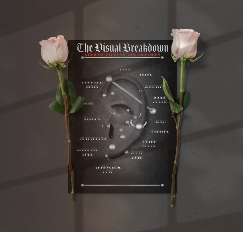 Vintage Style Ear Piercing Chart Print Ear Piercing Art Professional ...