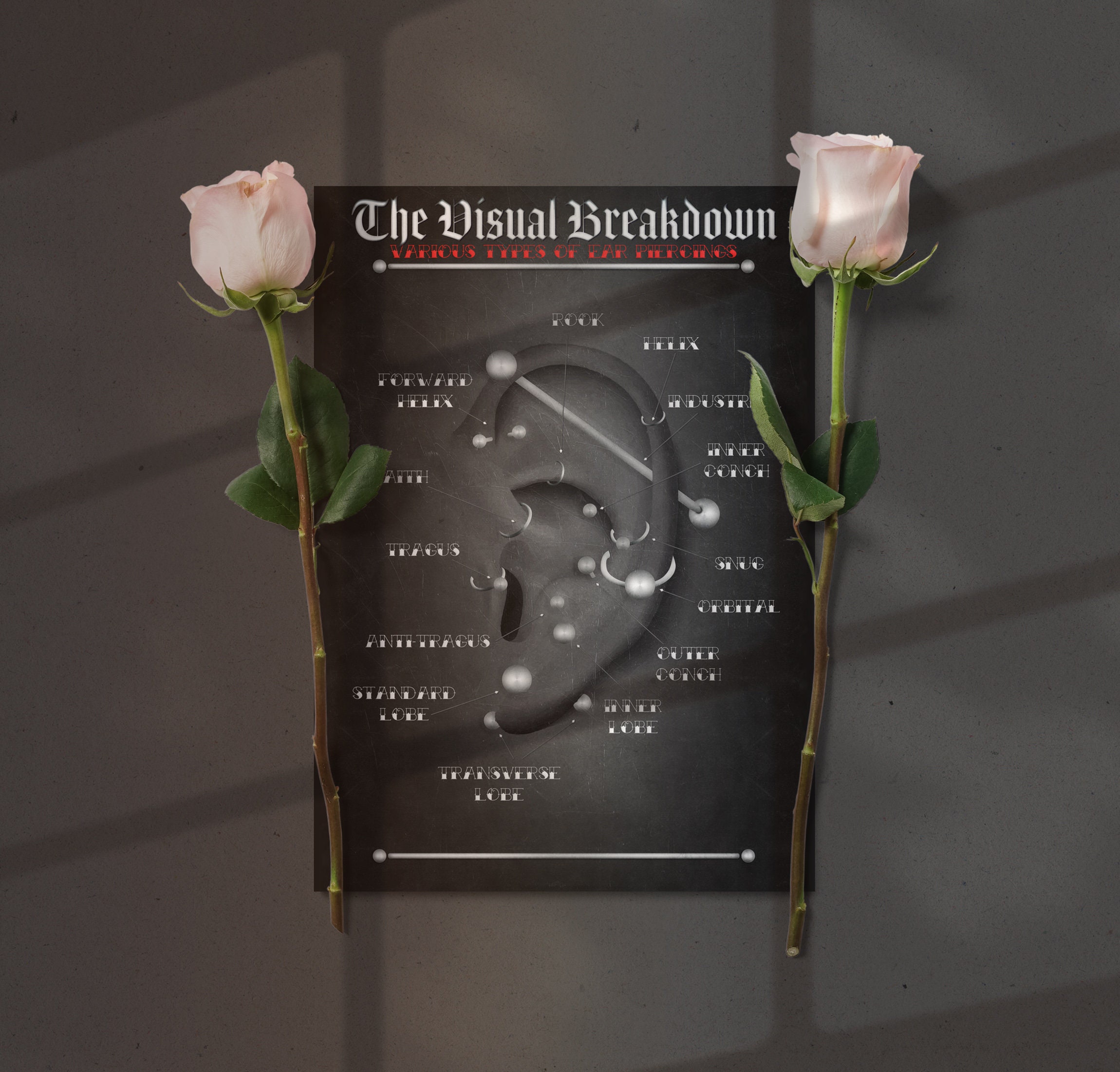 Vintage Style Ear Piercing Chart Print Ear Piercing Art Professional ...