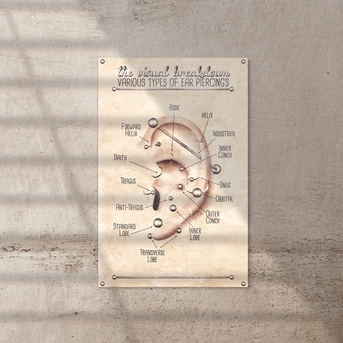 Ear Piercing Chart, Vintage Grunge, No Care Instructions, Poster - Etsy