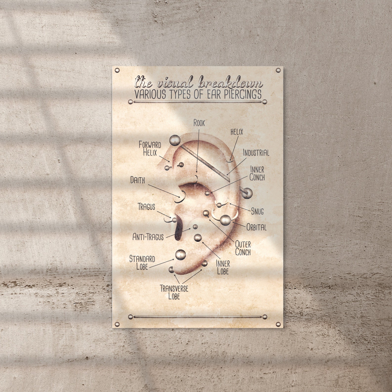 Ear Piercing Chart, Vintage Grunge, No Care Instructions, Poster - Etsy