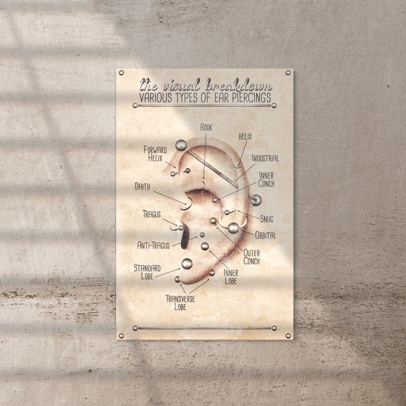 Ear Piercing Chart, Vintage Grunge, No Care Instructions, Poster - Etsy