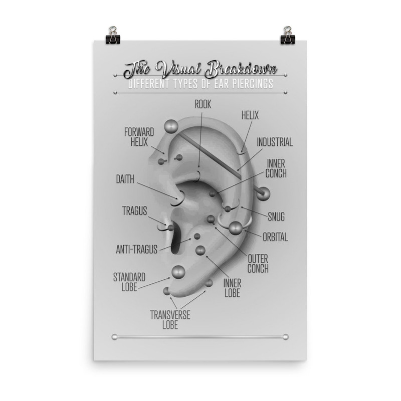 Ear Piercings Chart - Etsy