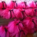 Bachelorette Tutu Party Group Tutu Running Tutus - Etsy