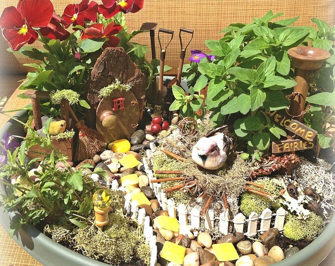 Woodland Fairy Garden Kit, Fairy Garden Set, Miniature Fairy Garden ...