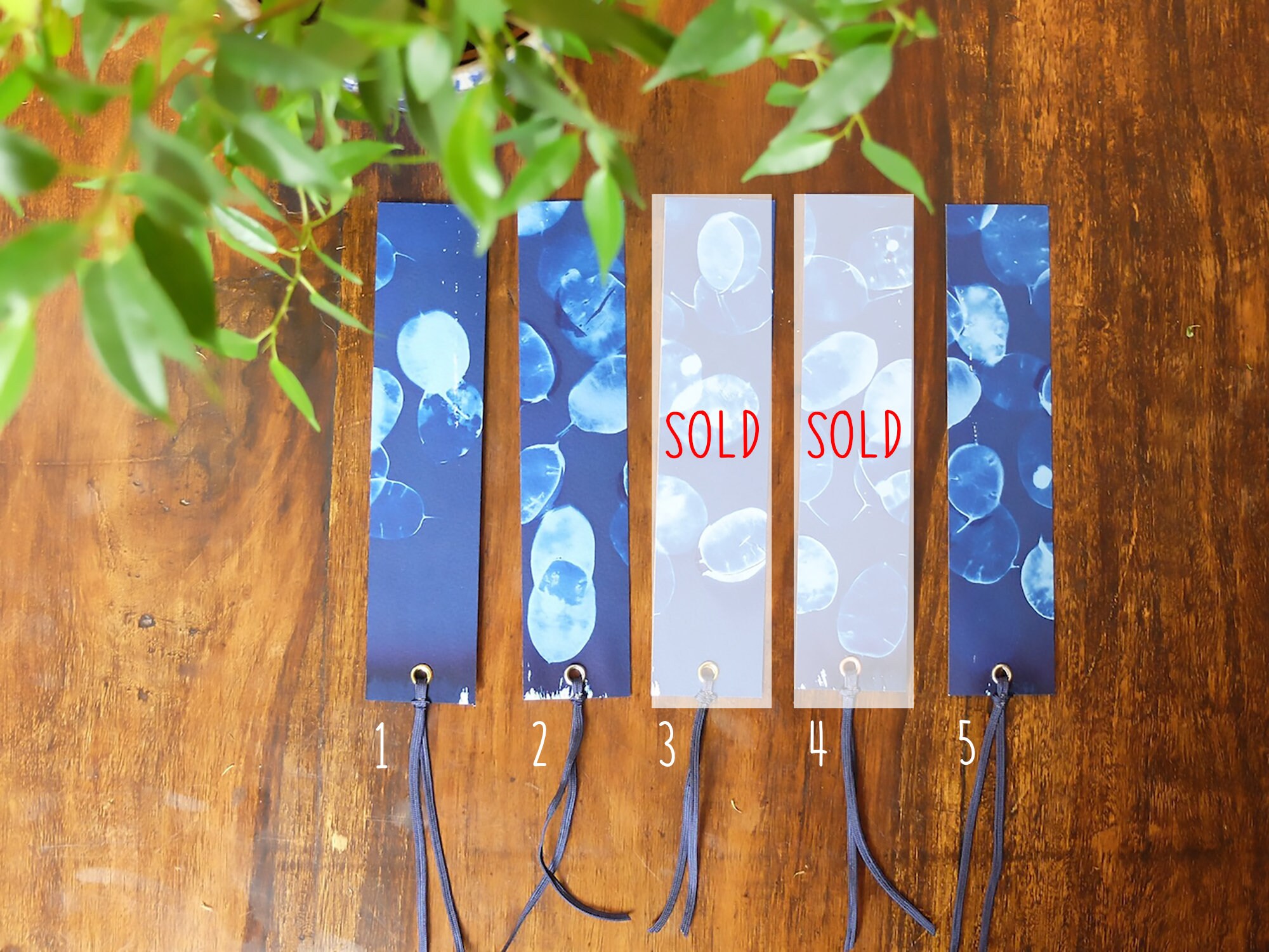 Lunaria Annua/honesty/silver Dollar Blue Cyanotype Bookmarks - Etsy UK