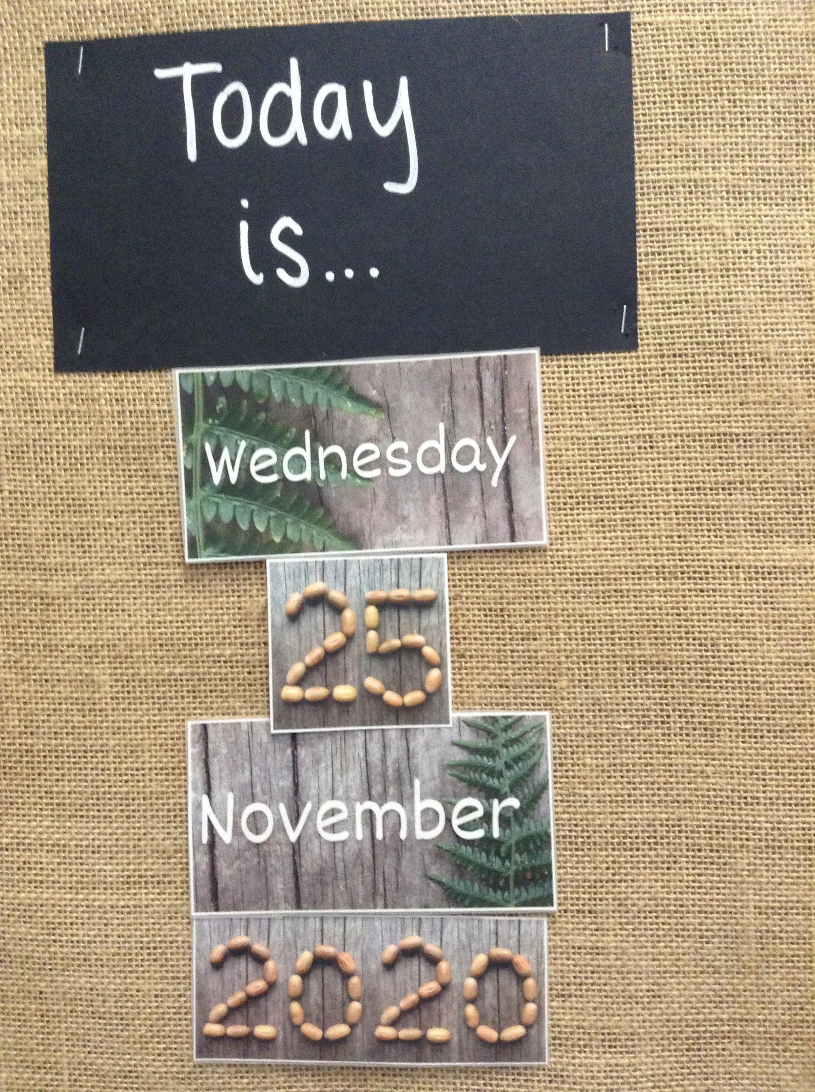 Nature Calendar Set Includes Editable Calendar - Etsy