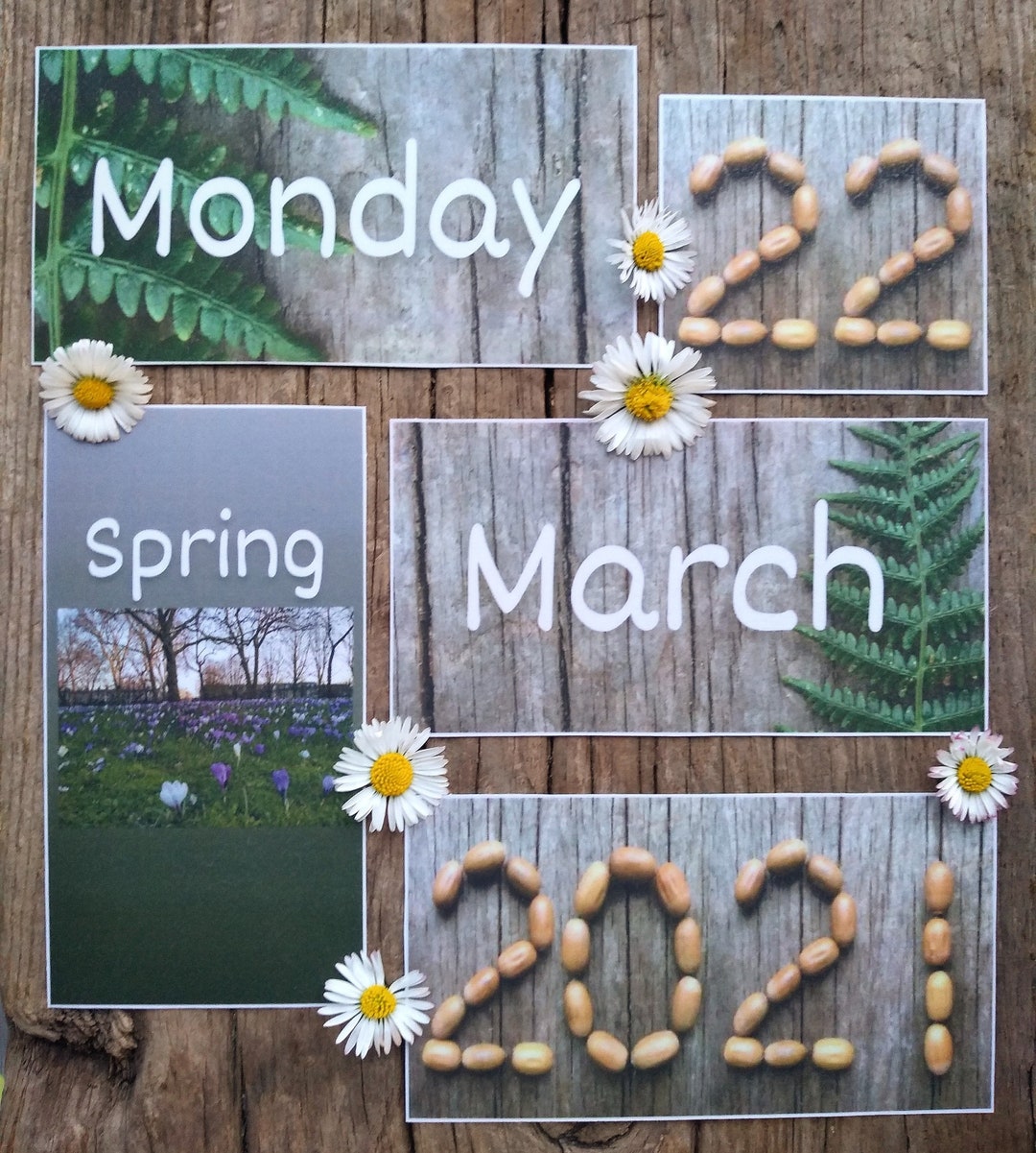 Nature Calendar Set Includes Editable Calendar - Etsy