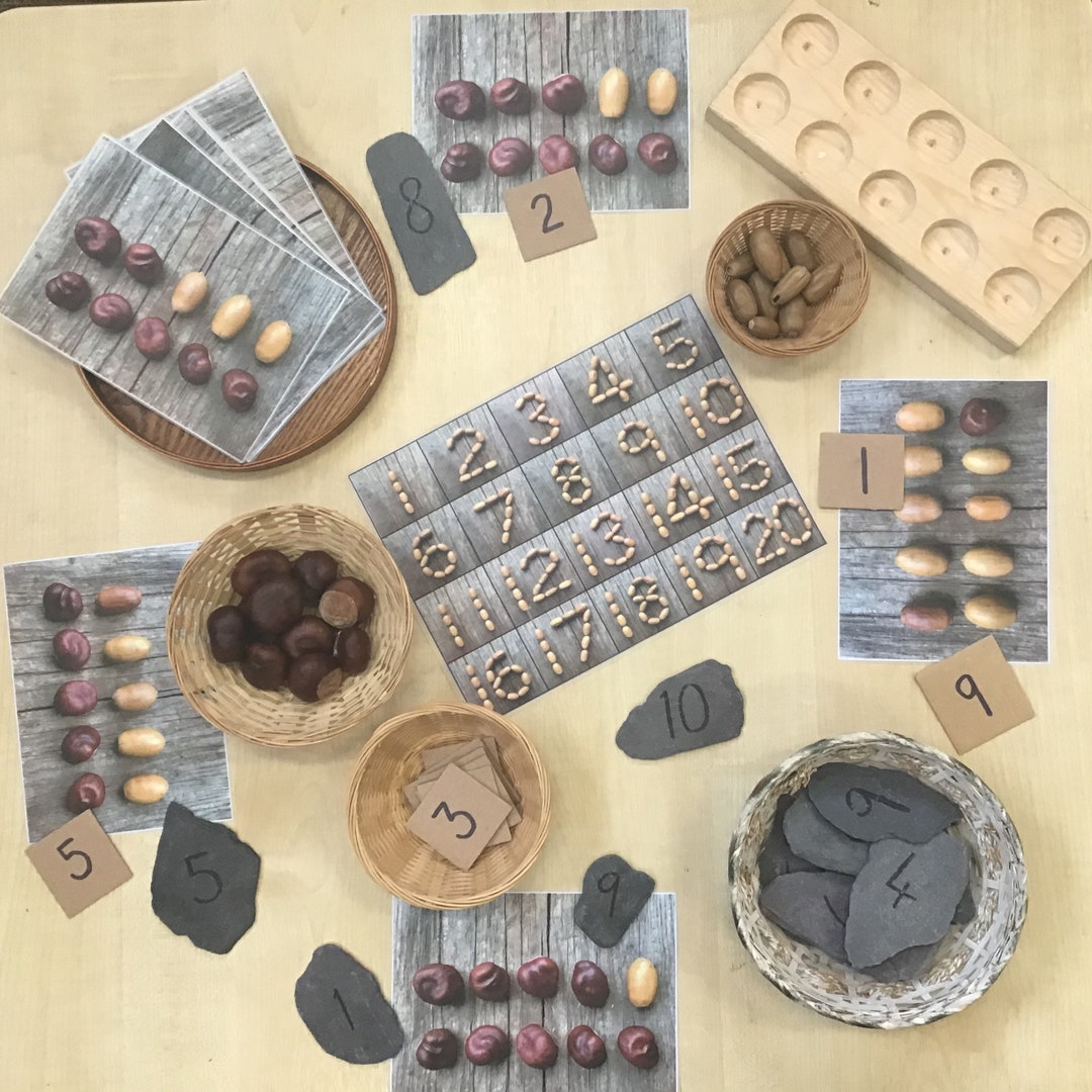 Conker and Acorn Counting Bundle Thekiwinatureteacher - Etsy