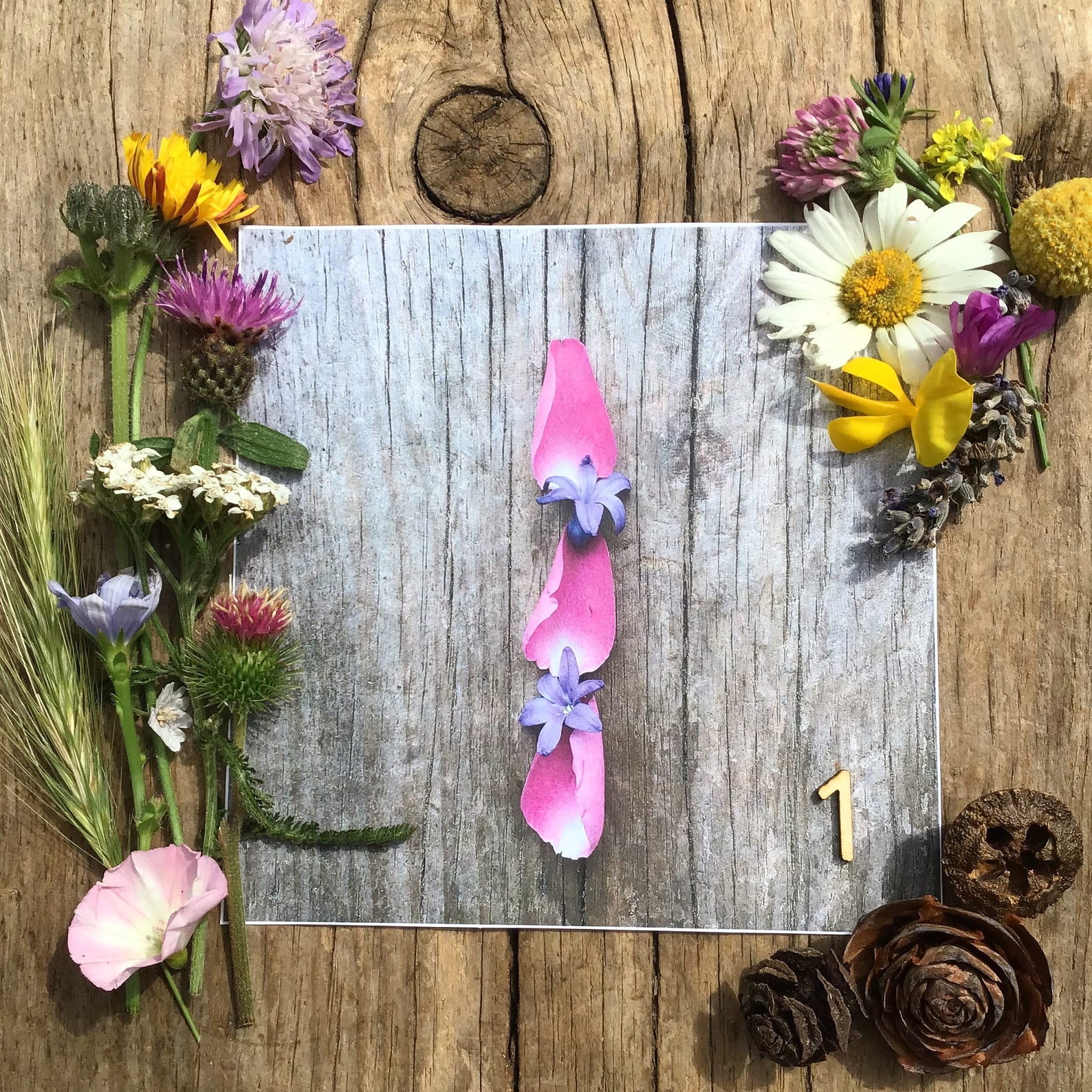 Nature Numbers With Looseparts 1-10 Instagram Set - Etsy