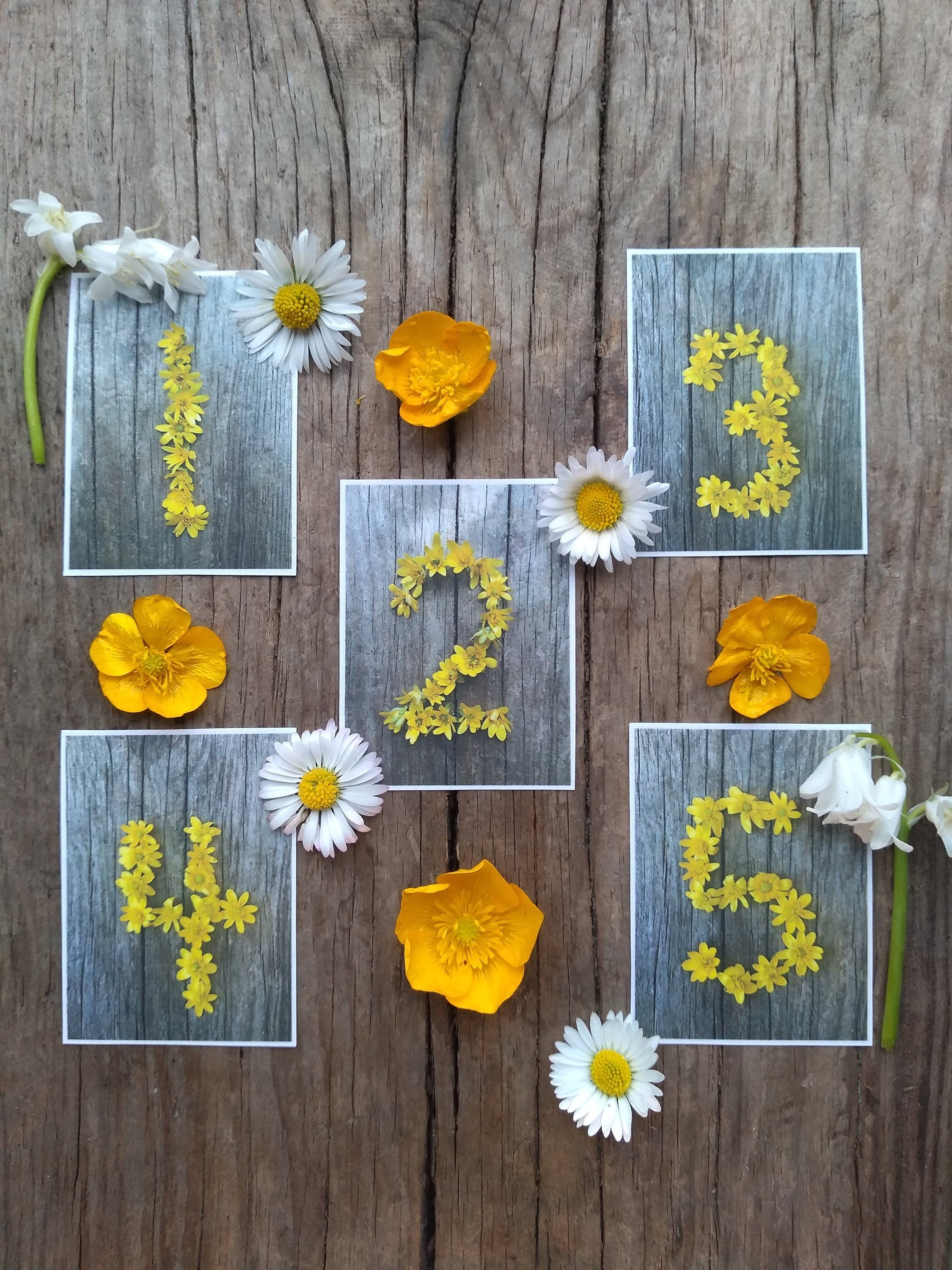 Yellow flower number set 0-20 | Etsy