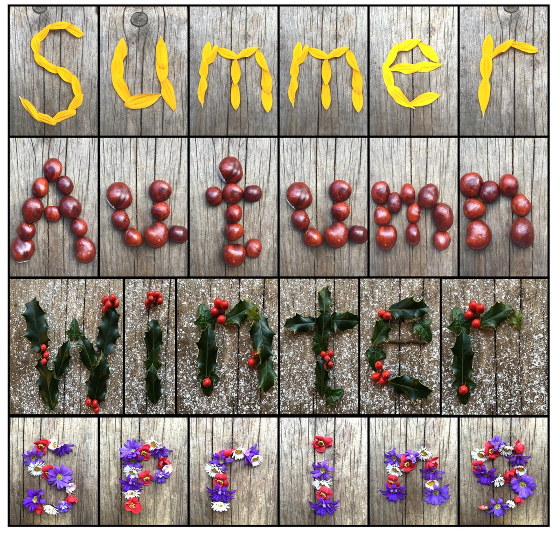 Seasons Signs by @the_crafty_kiwi_teacher - Etsy