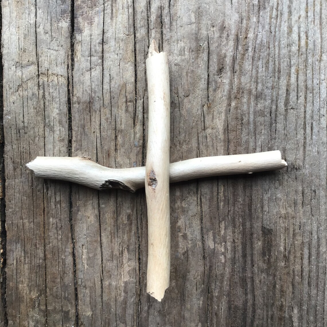 Conker and Acorn Counting Bundle | Etsy