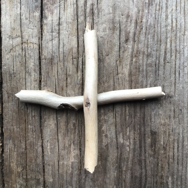 Conker and Acorn Counting Bundle | Etsy