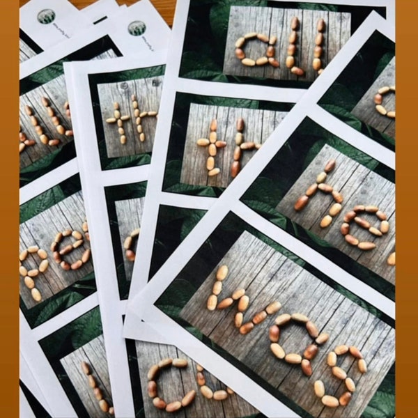 Tricky Teacher Etsy