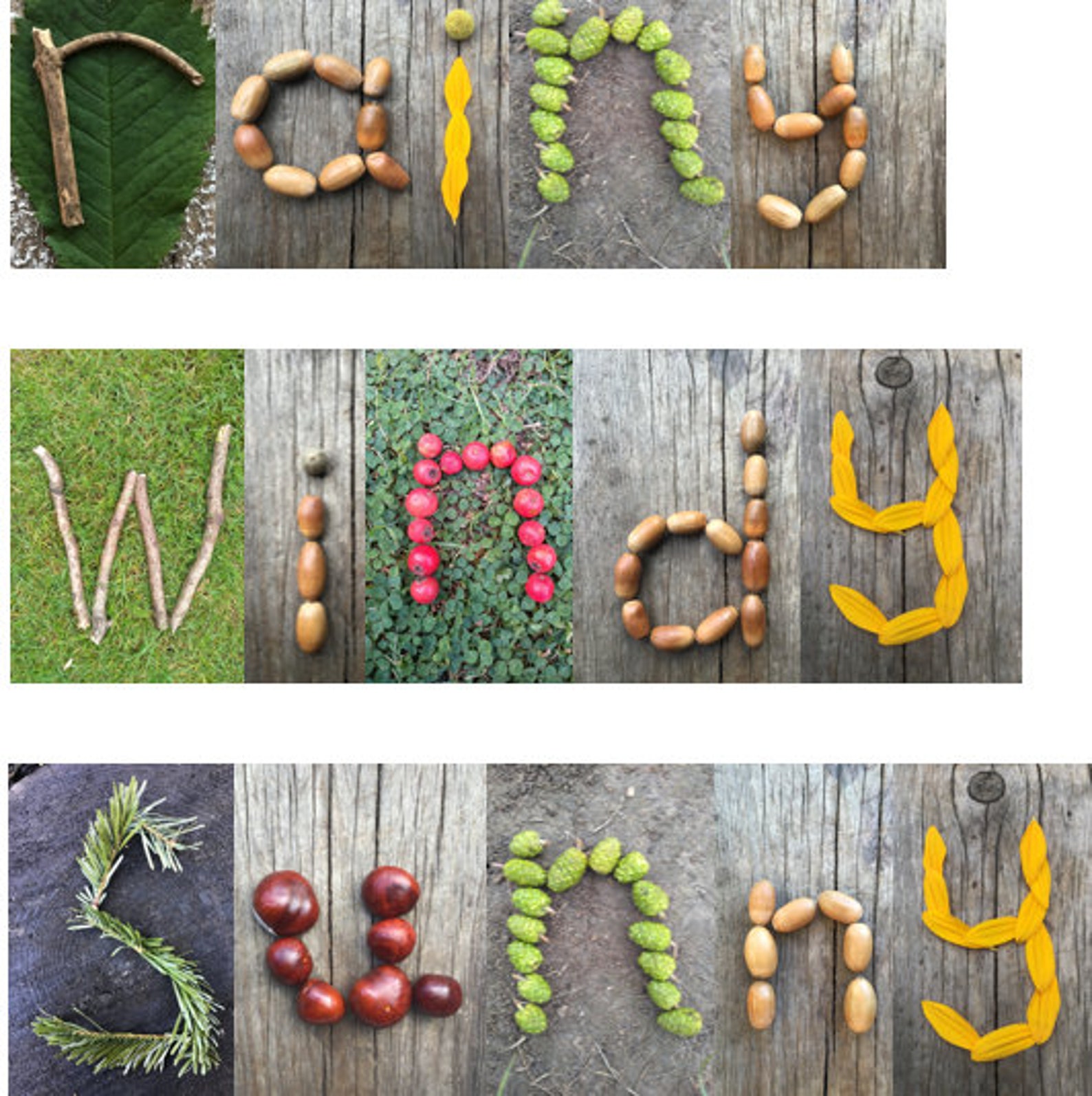 Nature Calendar Set Includes Editable Calendar - Etsy