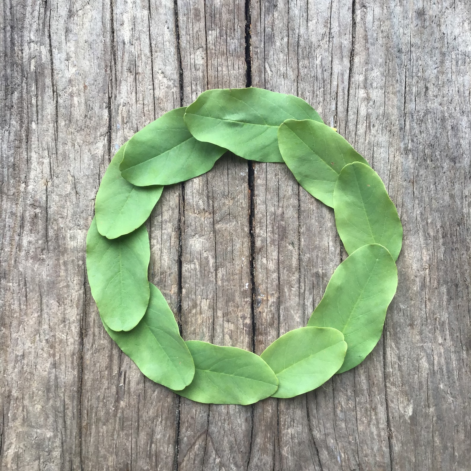 Shapes With Nature by @thekiwinatureteacher - Etsy