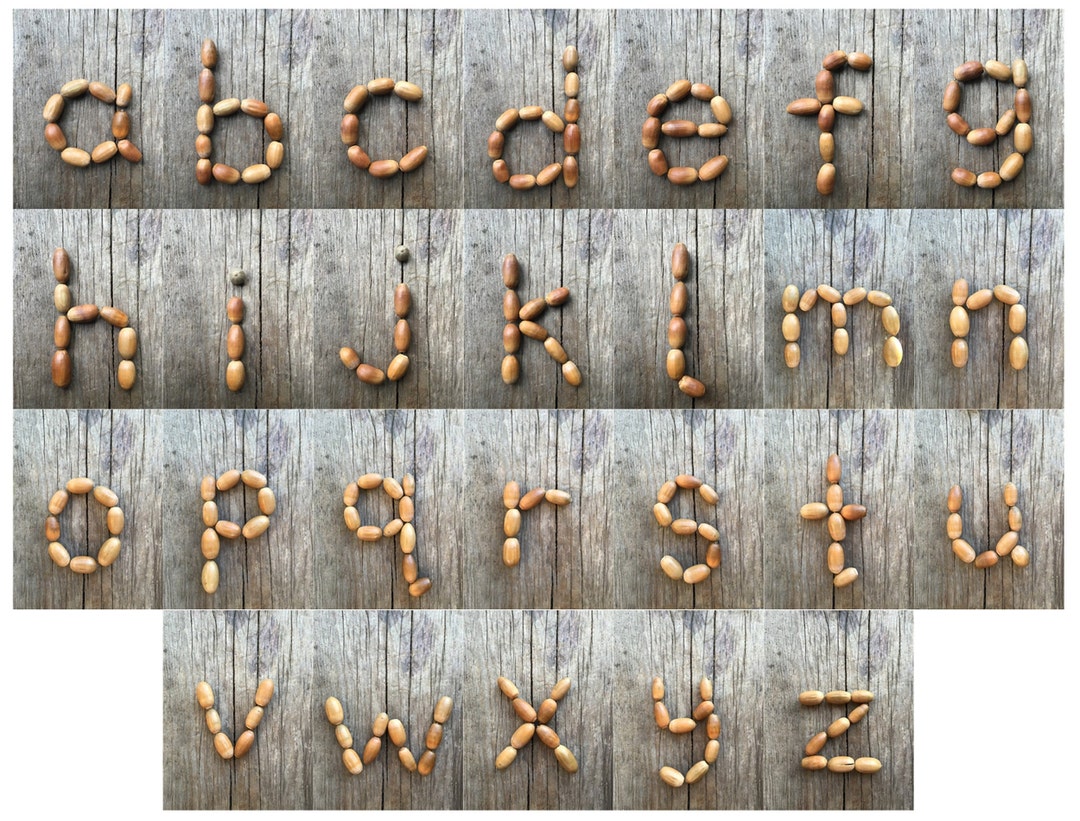 Acorn Alphabet: Lowercase, Upper Case and Digraphs by ...