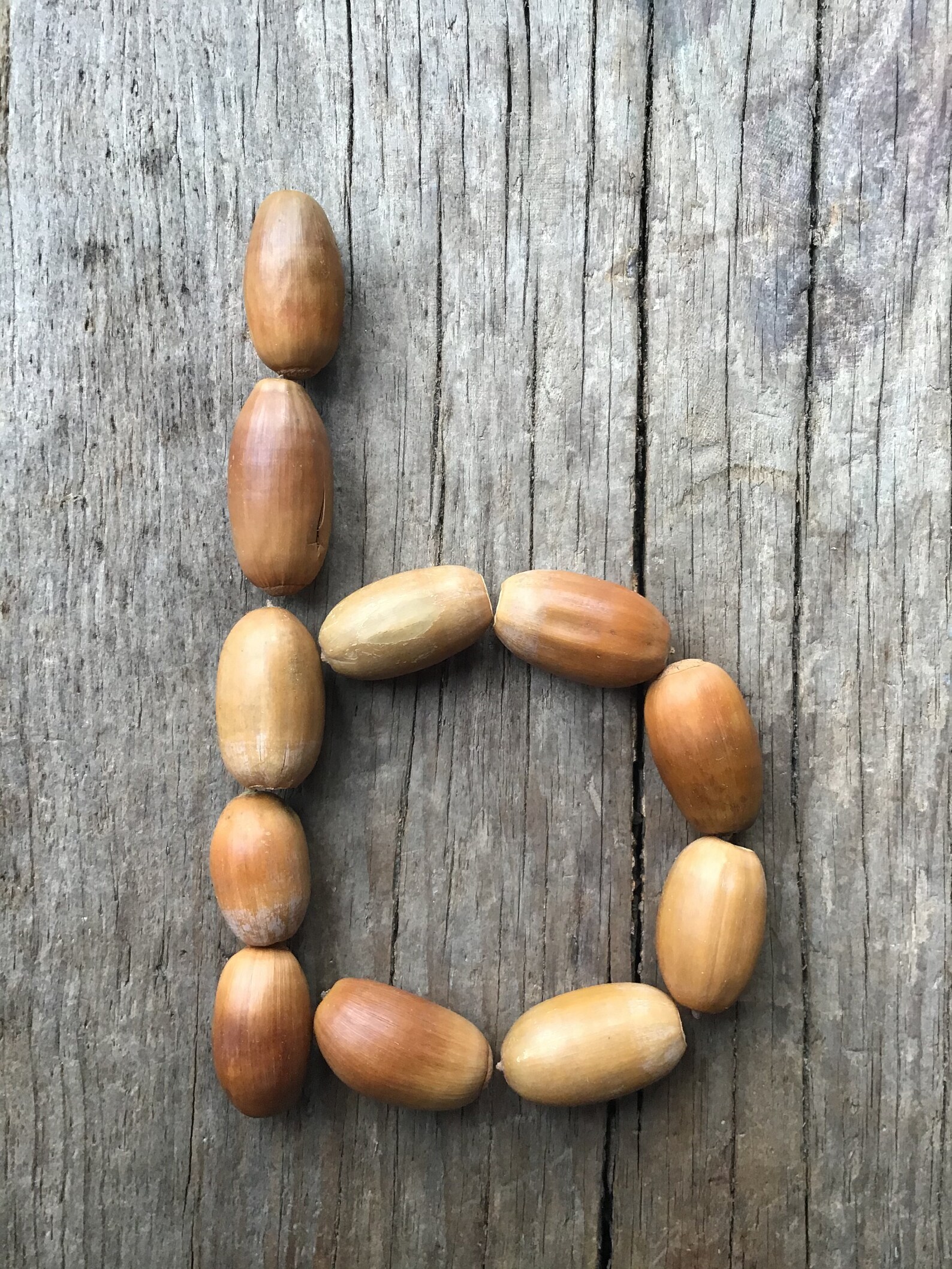 Acorn Alphabet: Lowercase, Upper Case and Digraphs by ...