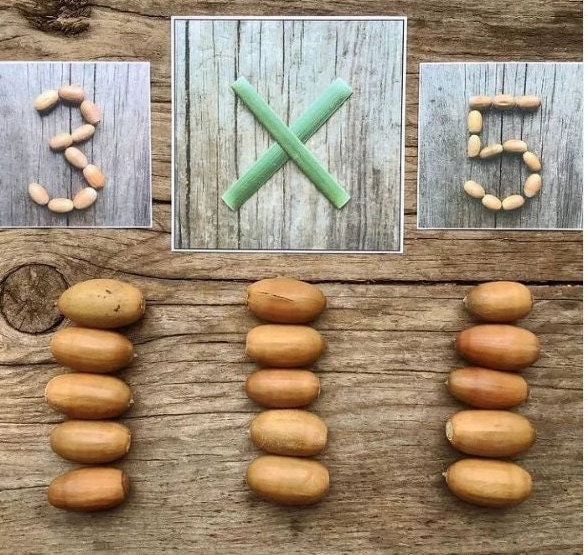 Conker and Acorn Counting Bundle Thekiwinatureteacher - Etsy