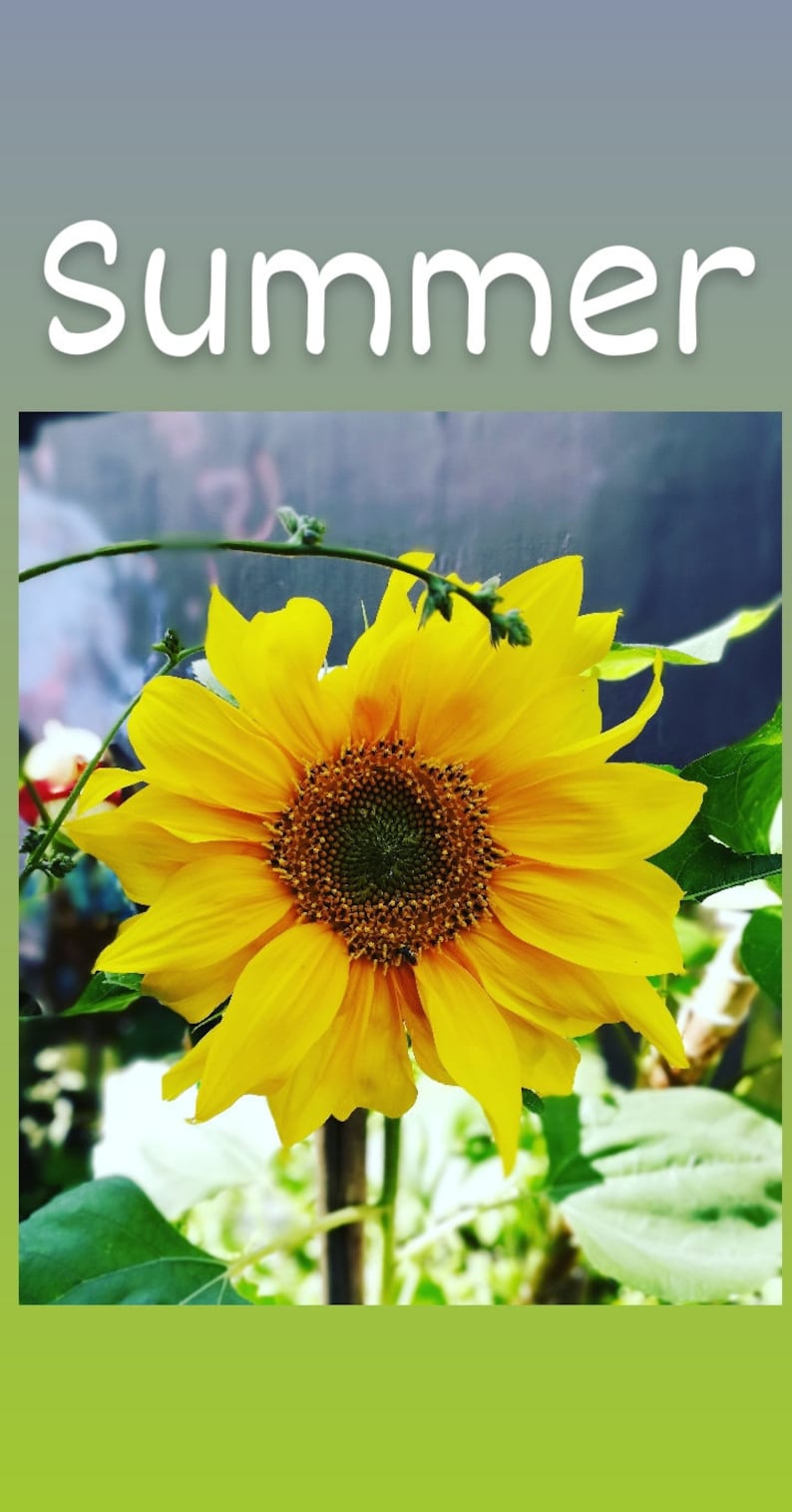 Nature Calendar Set Includes Editable Calendar - Etsy