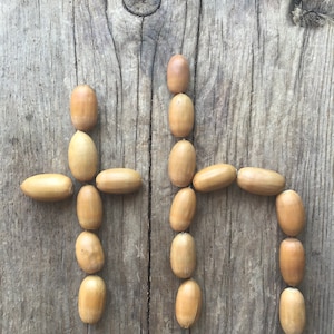 Acorn Alphabet: Lowercase, Upper Case and Digraphs by ...