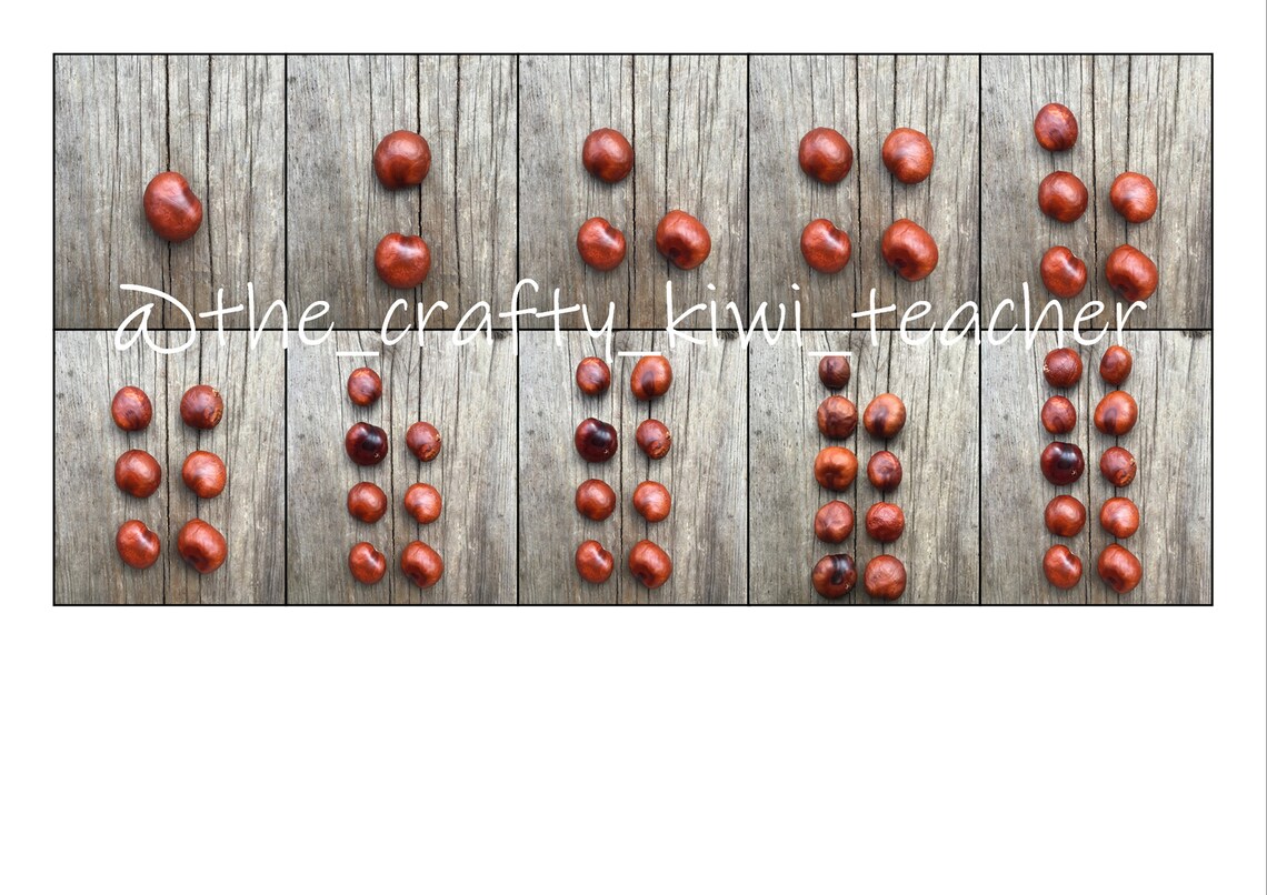 Conker and Acorn Counting Bundle | Etsy