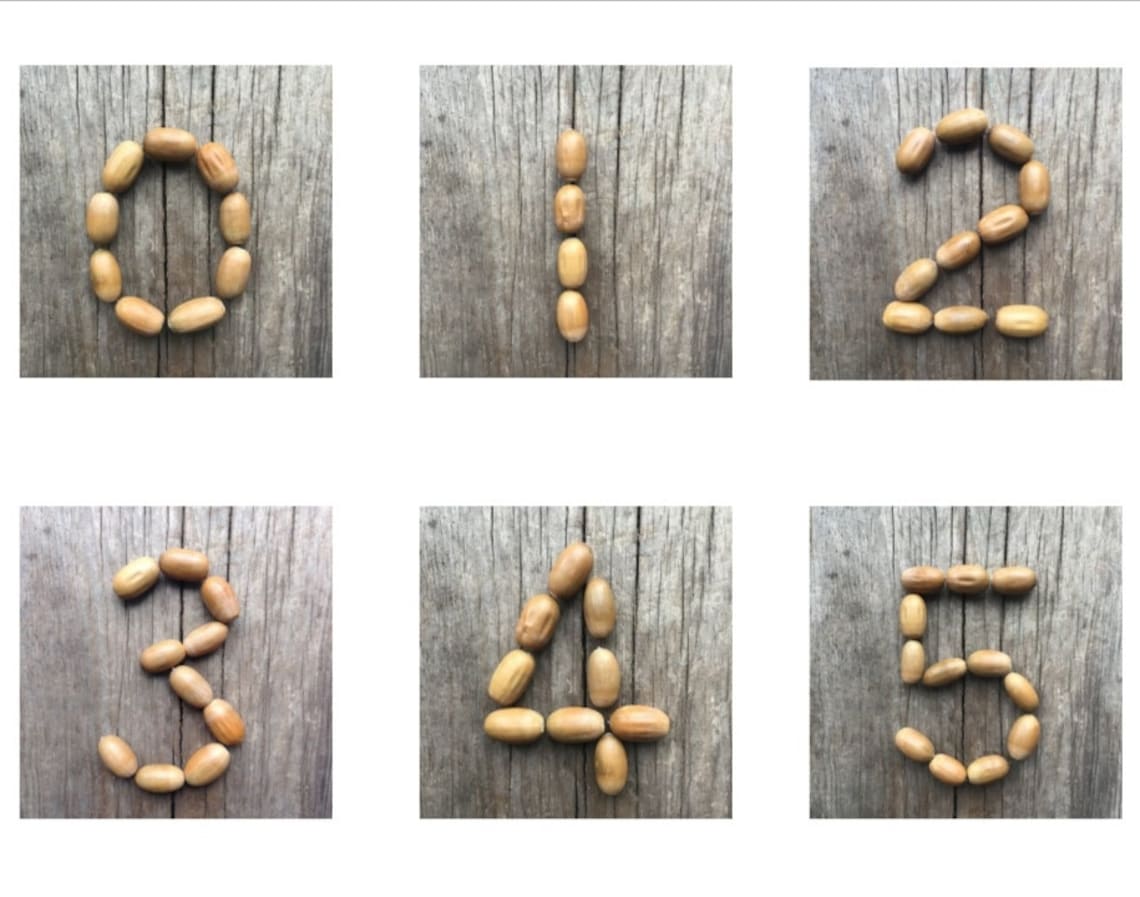 Nature Calendar Set Includes Editable Calendar - Etsy