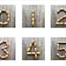 Nature Calendar Set Includes Editable Calendar - Etsy