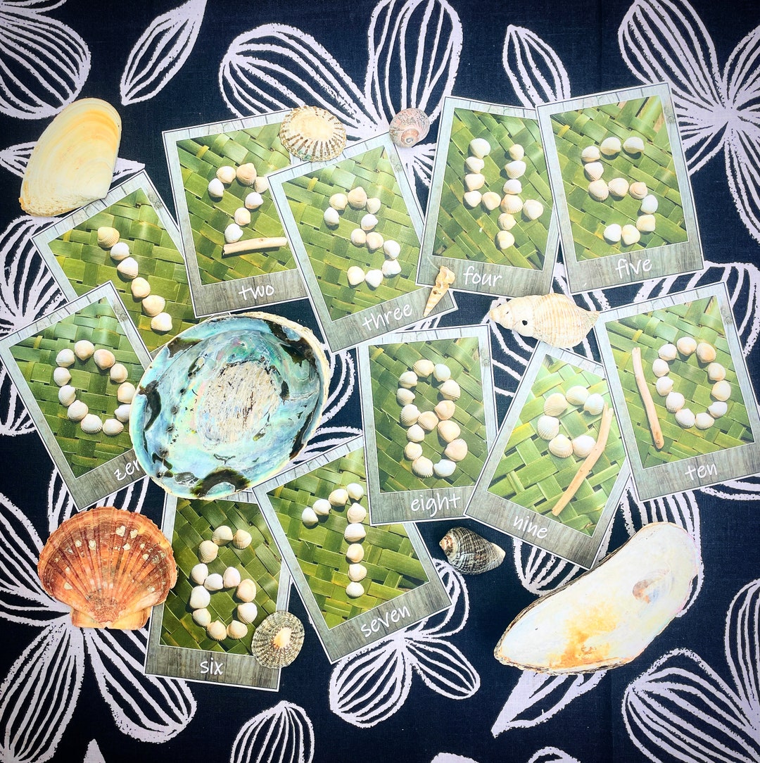 Flax, Shell and Stick Number Set 0-20 With Shapes and Calculation ...