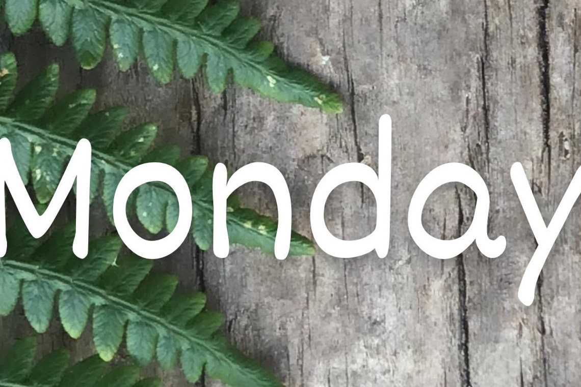 Nature Calendar Set Includes Editable Calendar - Etsy