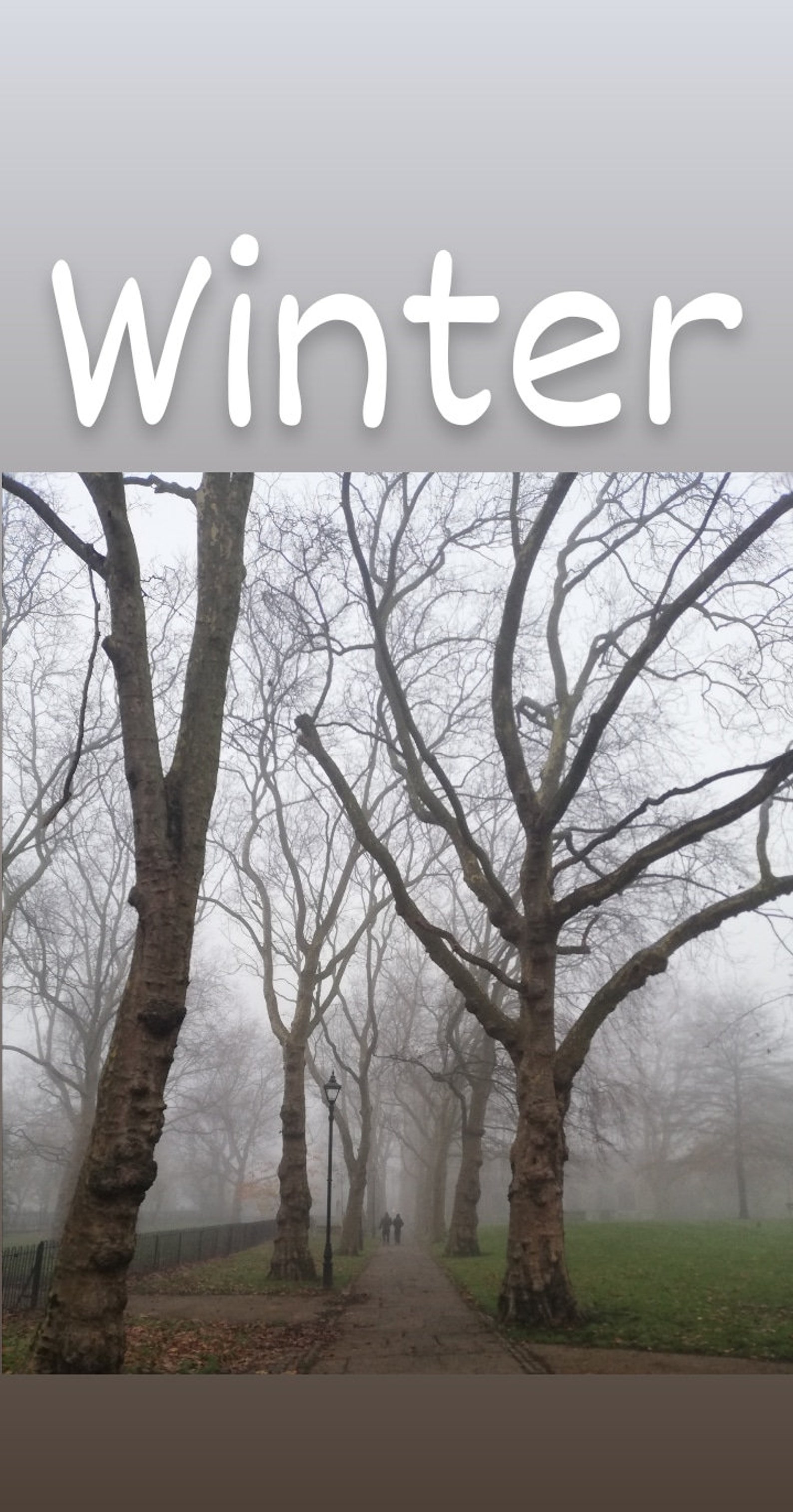 Nature Calendar Set Includes Editable Calendar - Etsy