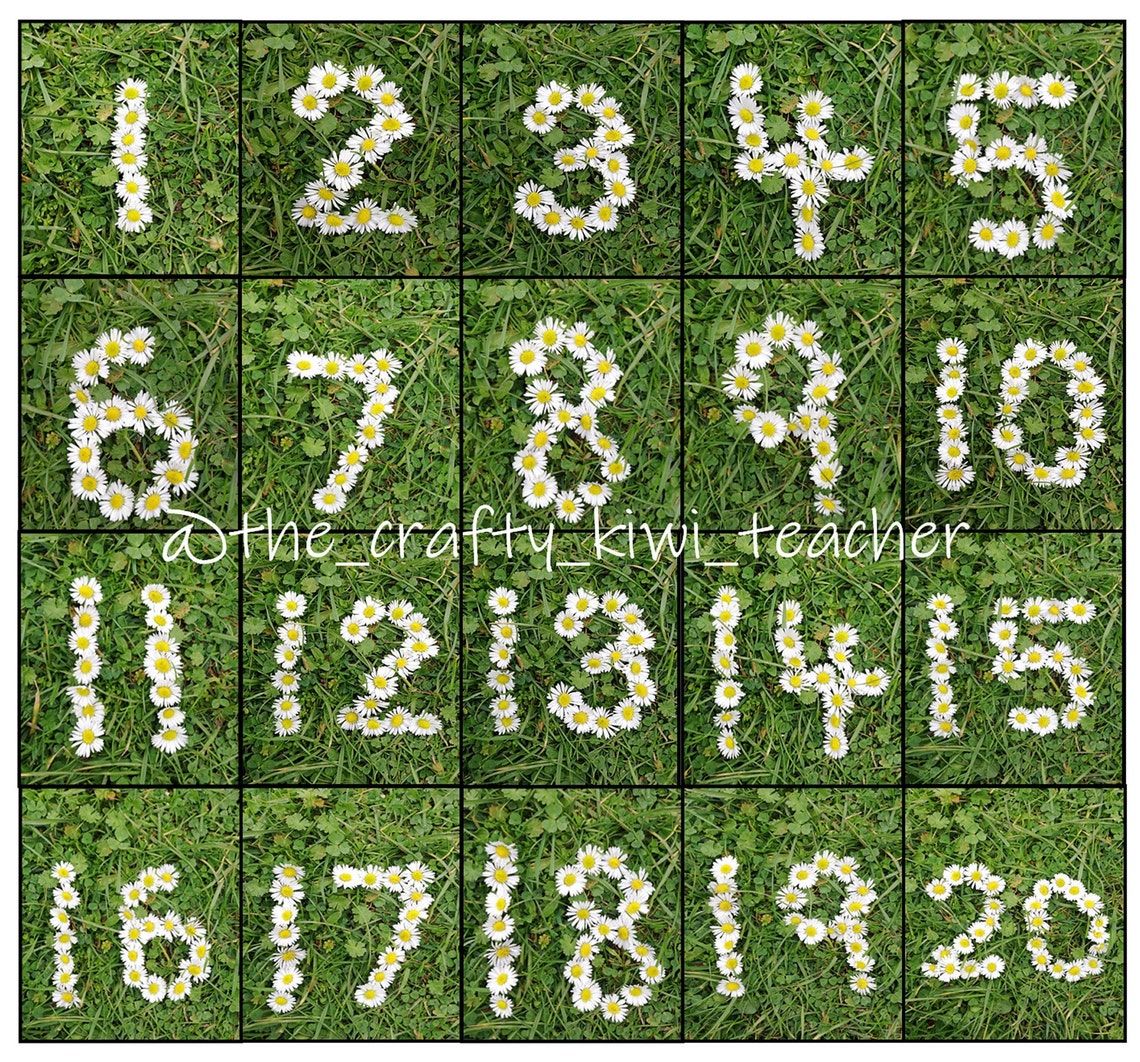 Daisy Numbers 0-20 Download to Print and Use in Play | Etsy