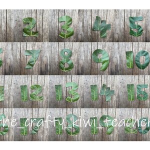 Leaf Bundle: Alphabet, Numbers and 5s and 10s - Etsy