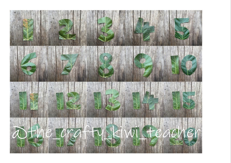 Leaf Bundle: Alphabet, Numbers and 5s and 10s - Etsy
