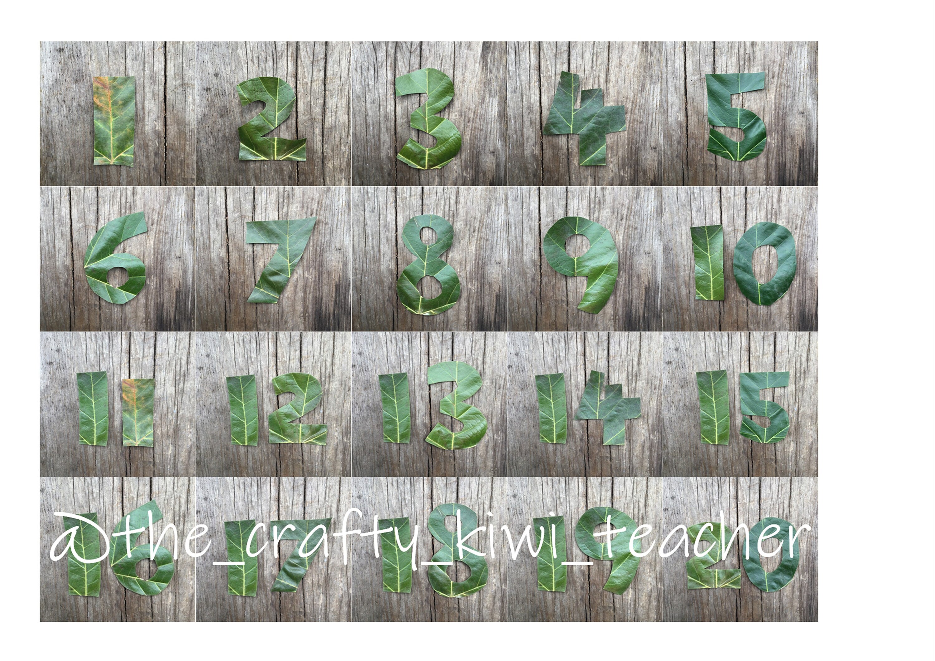 Leaf Bundle: Alphabet, Numbers and 5s and 10s - Etsy Australia