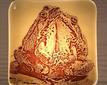 Frog night light | Etsy