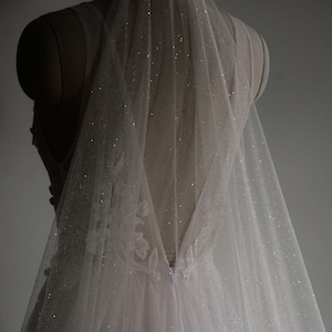 Sparkle Veil, Glitter Veil, Sparkly Wedding Veil, Shimmer Veil ...